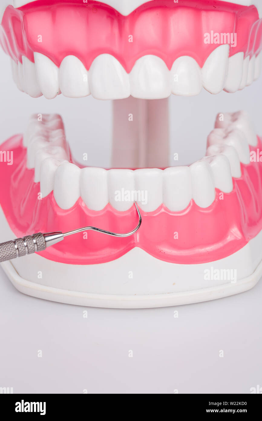 White teeth and dental instruments on white background Stock Photo - Alamy