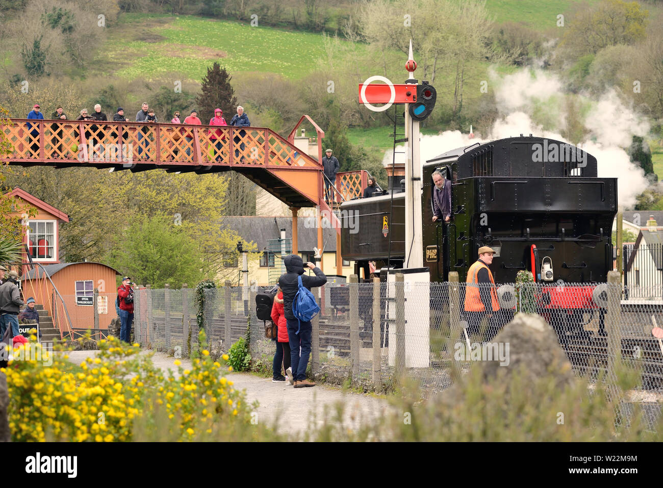 GWR class 1500 pannier tank No 1501 at Buckfastleigh during the South ...