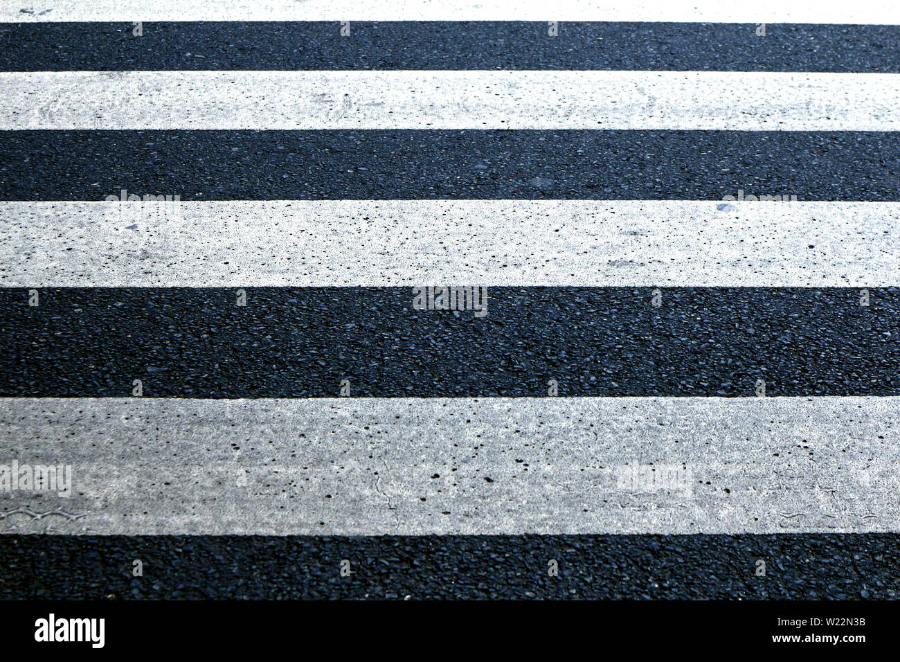 Photo of the white paint lines of a pedestrian lane on a road Stock ...