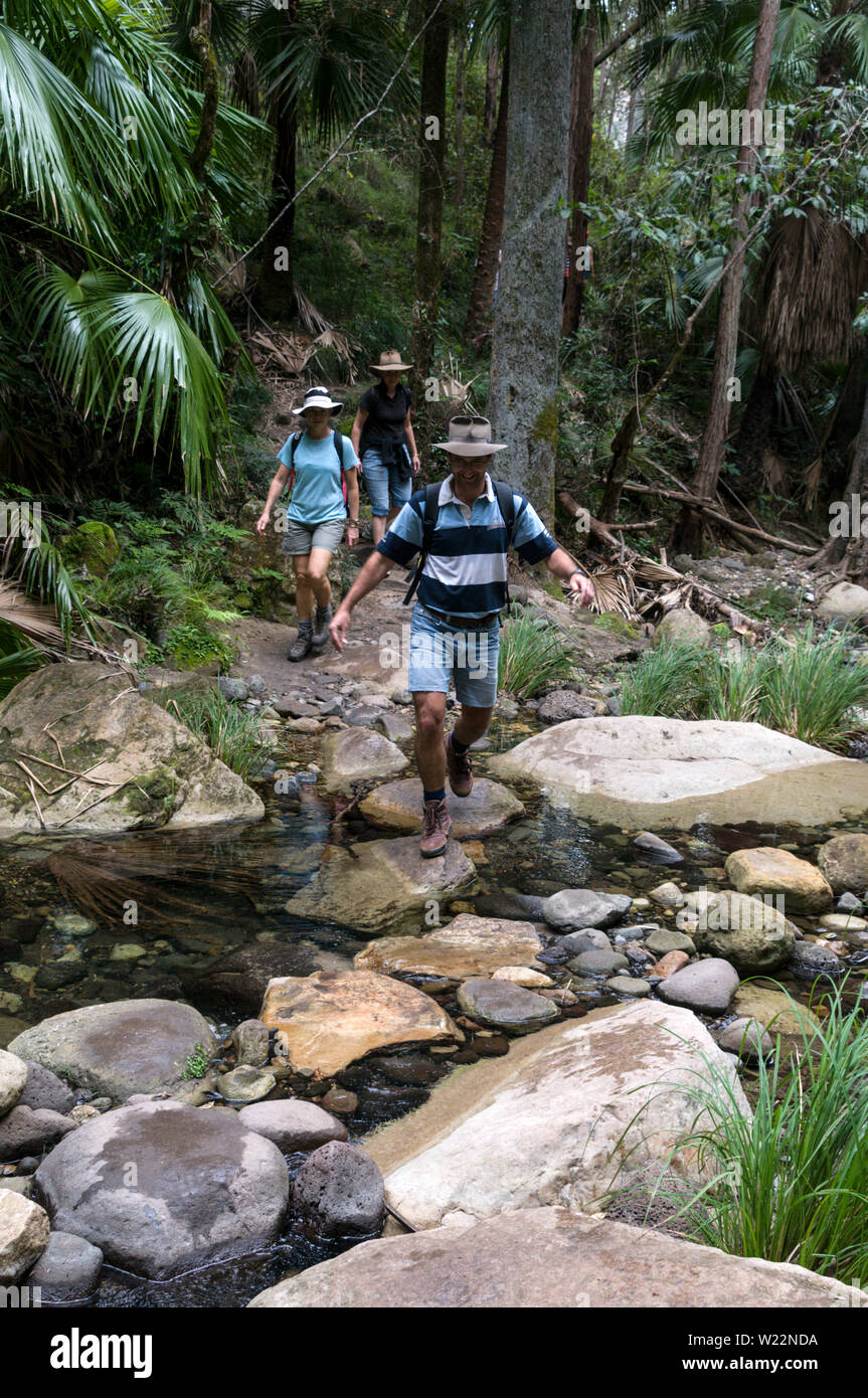Family australian rainforest hi-res stock photography and images - Alamy