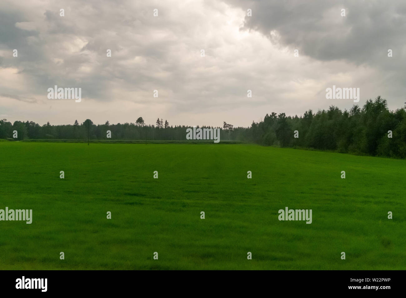 Supercell Storm And Green Grass