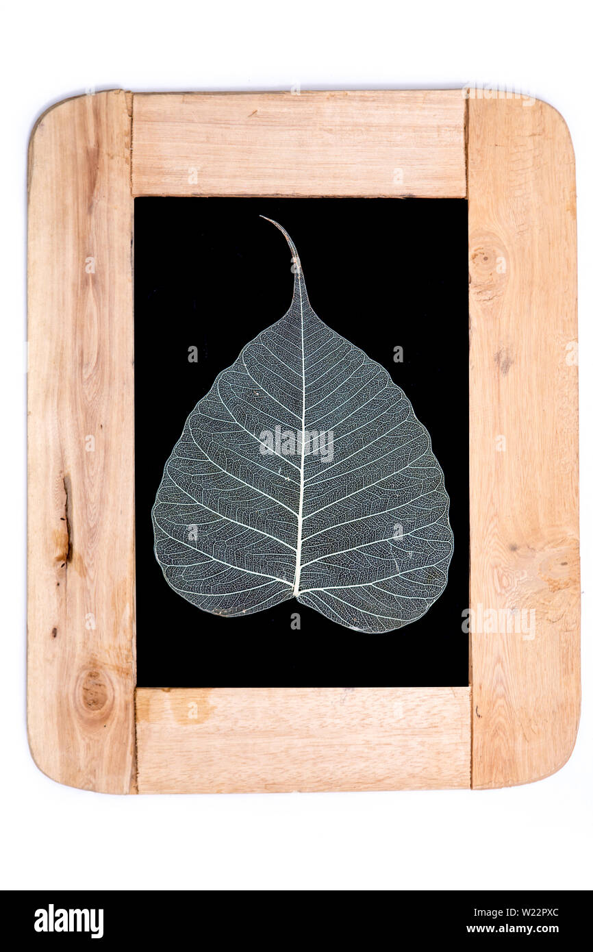 Dry leaves border frame Cut Out Stock Images & Pictures - Alamy