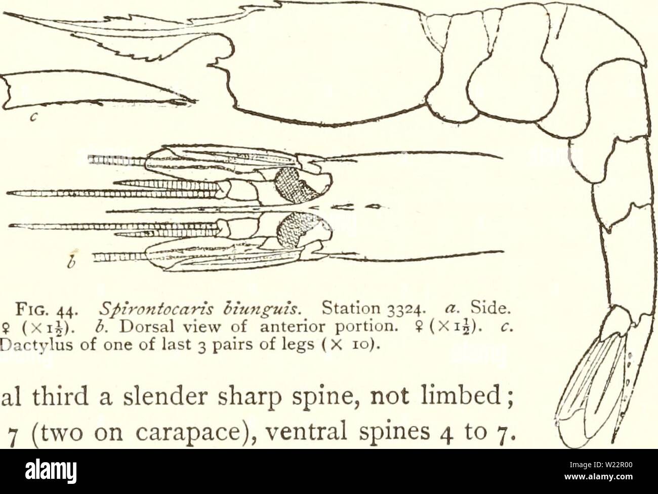 Mary jane rathbun hi-res stock photography and images - Alamy