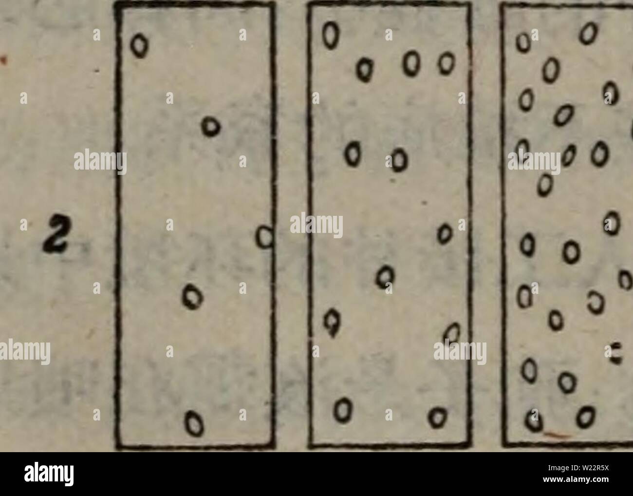 Bo bo ji hi-res stock photography and images - Alamy