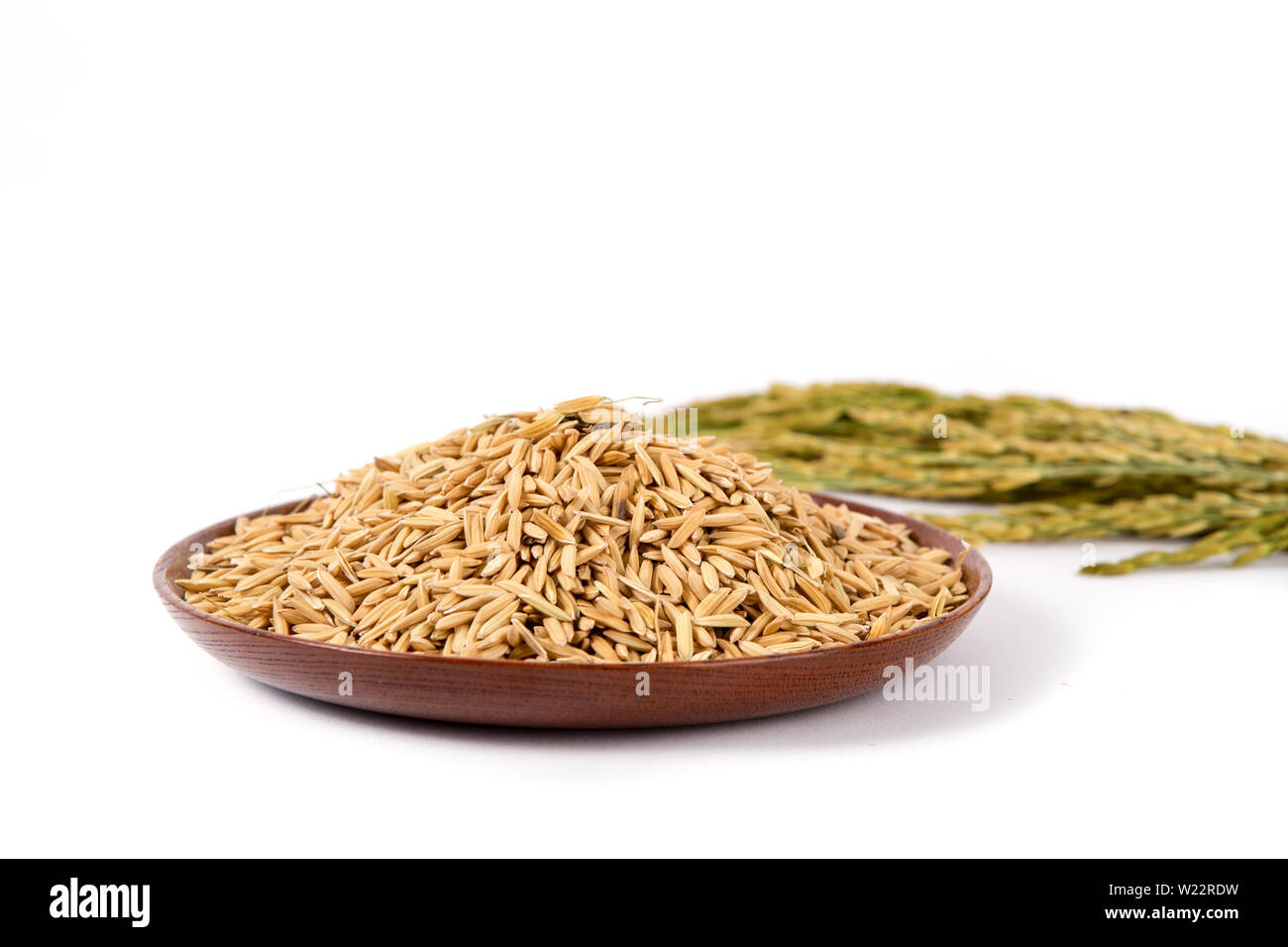 Asian paddy field Cut Out Stock Images & Pictures - Alamy