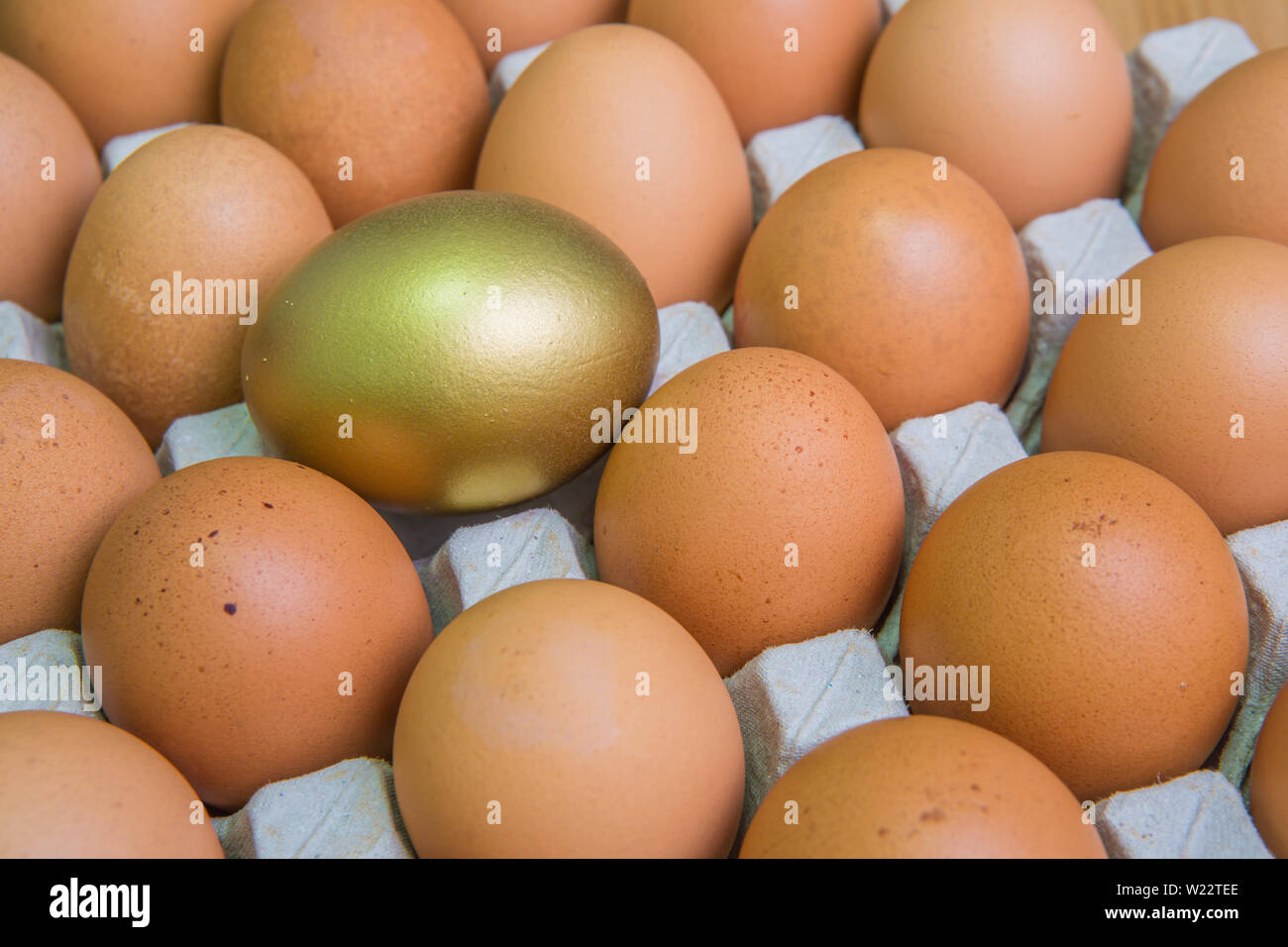 The goose and the golden egg hi-res stock photography and images - Alamy
