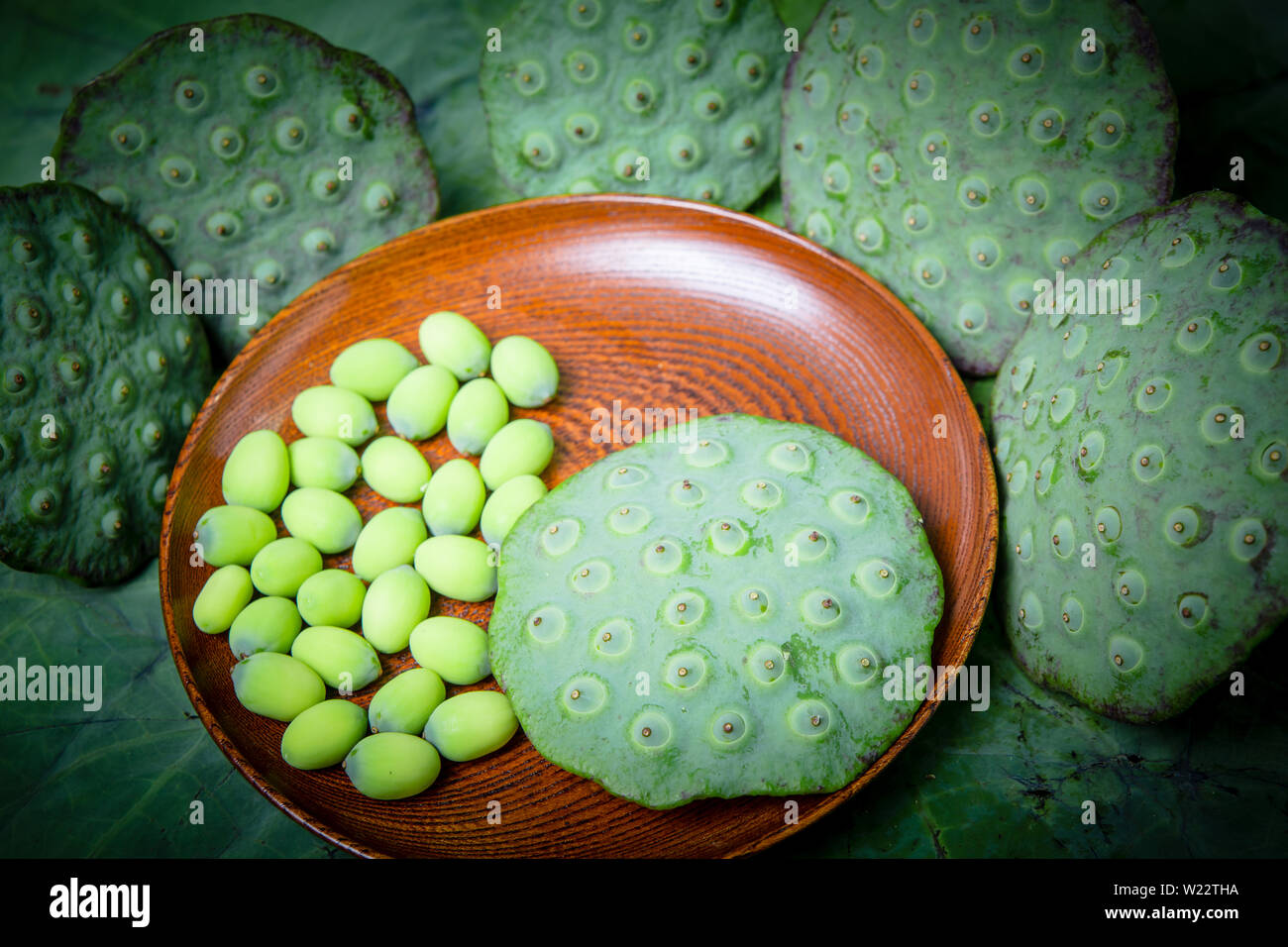 Agriculture flora hi-res stock photography and images - Alamy