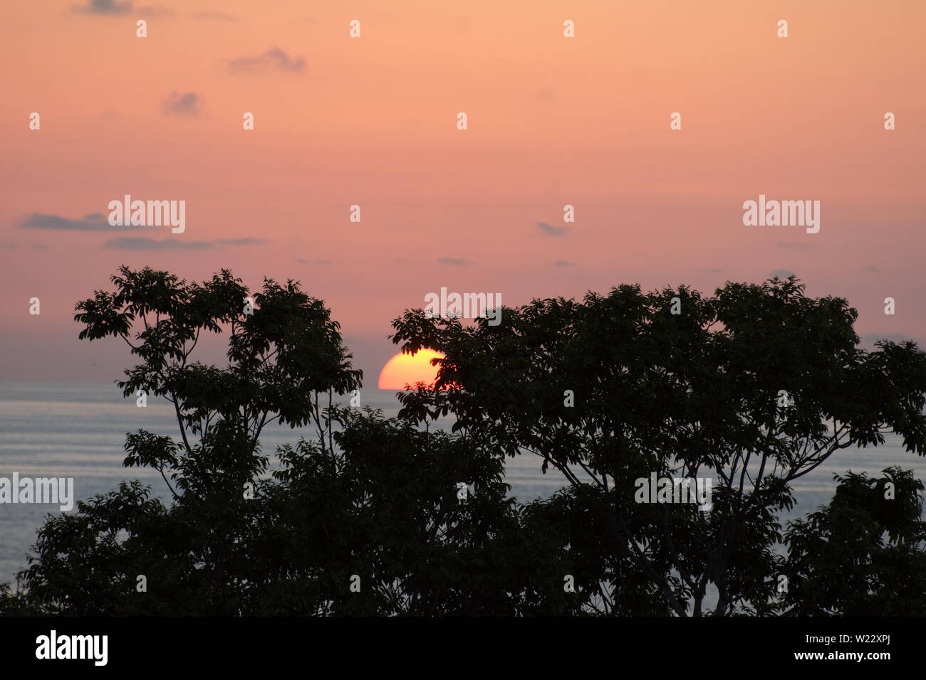 Sunset over costa rica trees hi-res stock photography and images - Alamy