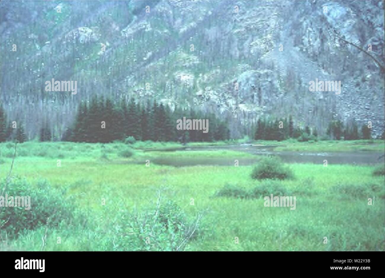 Rosebud river hi-res stock photography and images - Alamy