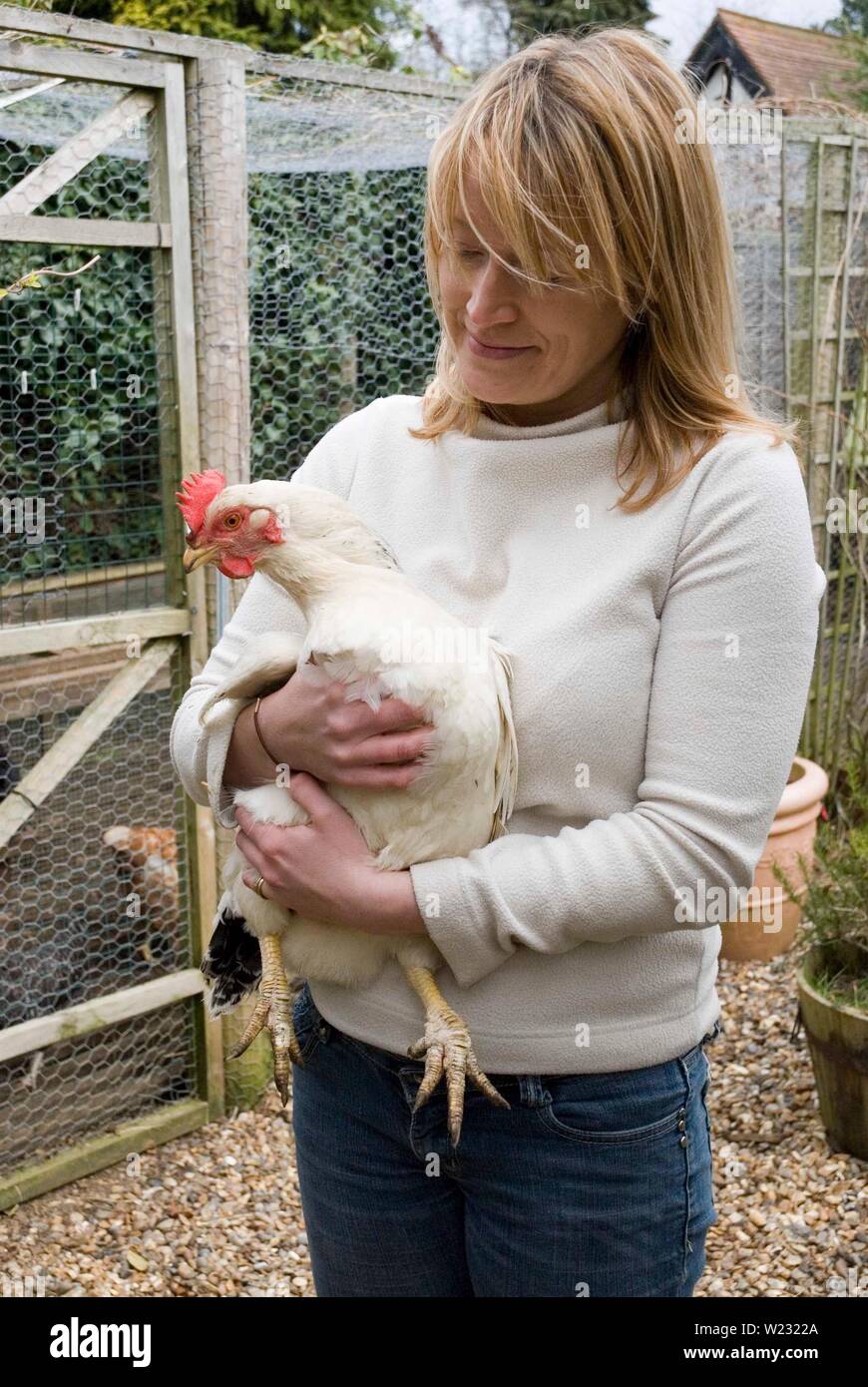 Light sussex chickens hi-res stock photography and images - Alamy