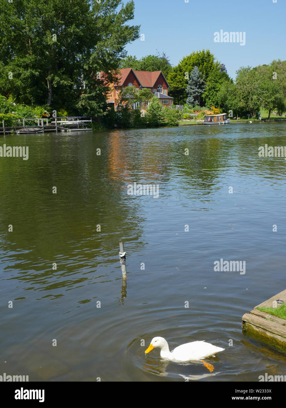 River Thames Landscape, at Ferry Lane, on The Ridgeway Path, South ...