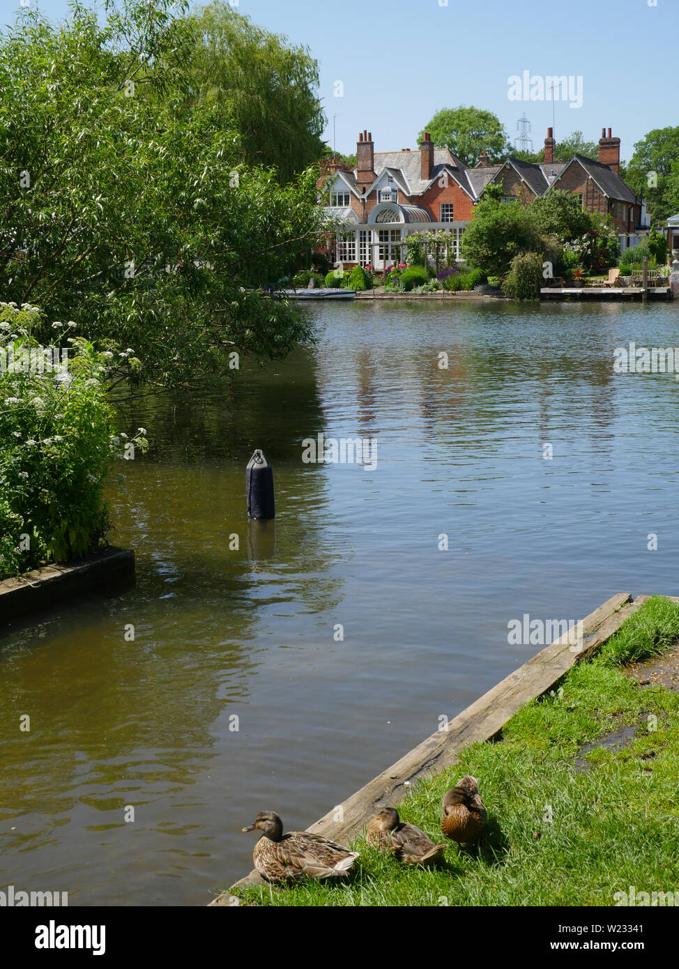 Stoke ferry hi-res stock photography and images - Alamy