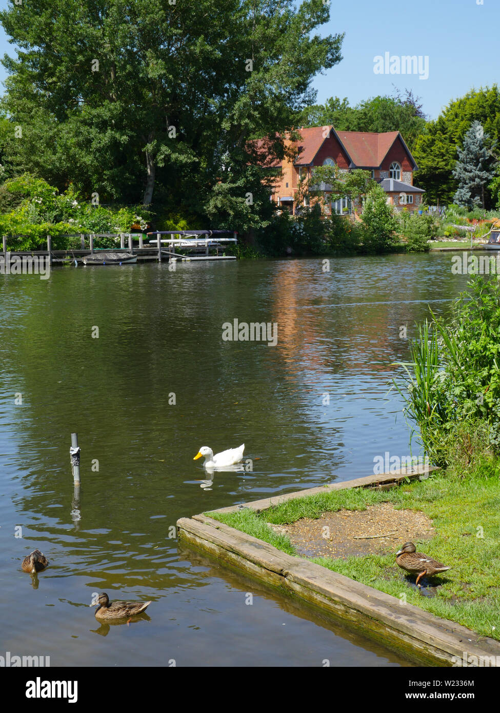 River Thames Landscape, at Ferry Lane, on The Ridgeway Path, South ...