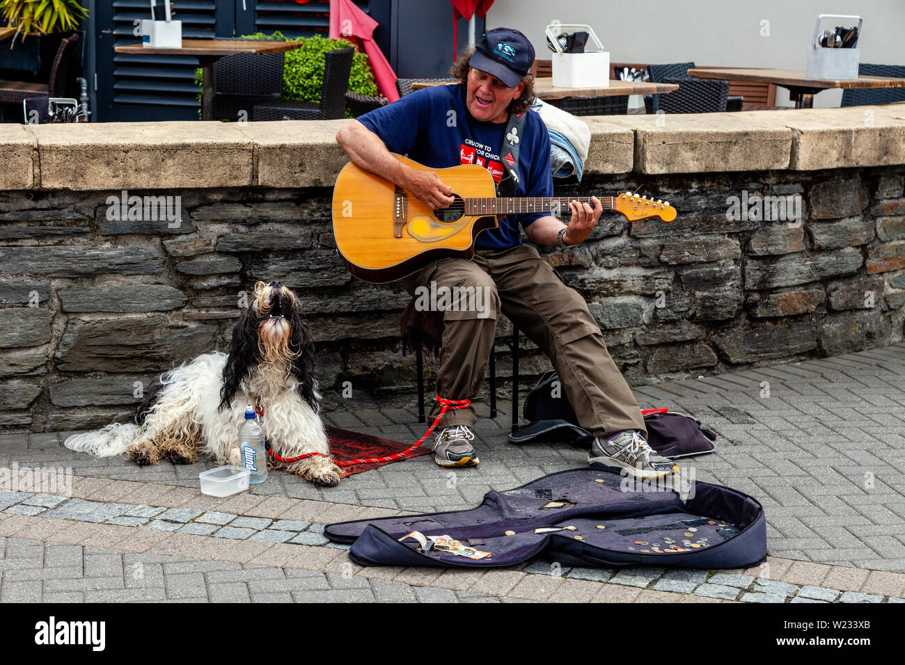 Singing dog hi-res stock photography and images - Alamy