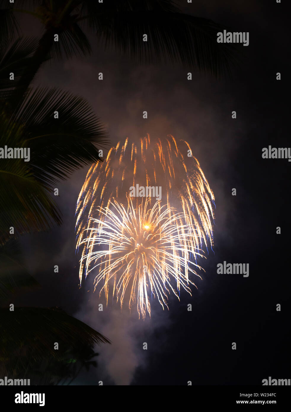 Fourth of July Fireworks Display over the ocean, with palm tree ...