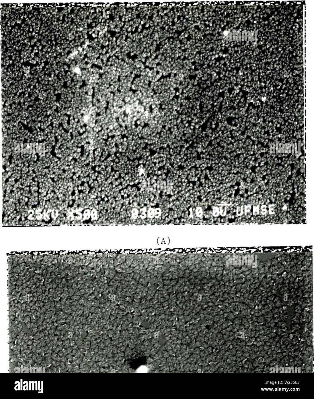 Archive image from page 135 of Deposition, corrosion and coloration of ...
