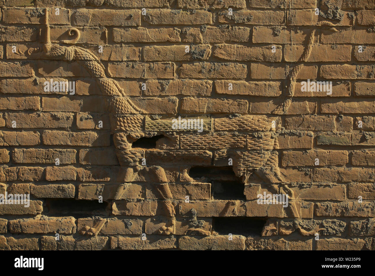 Hillah, Iraq. 05th July, 2019. A general view of 'Mushussu' or the ...