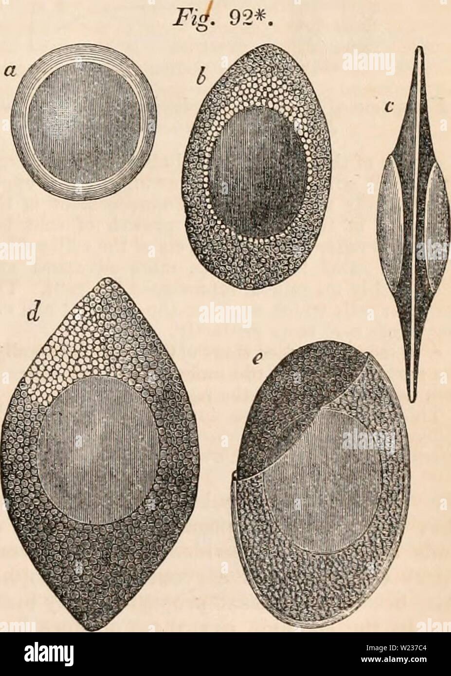 Cyclopaedia High Resolution Stock Photography and Images - Alamy