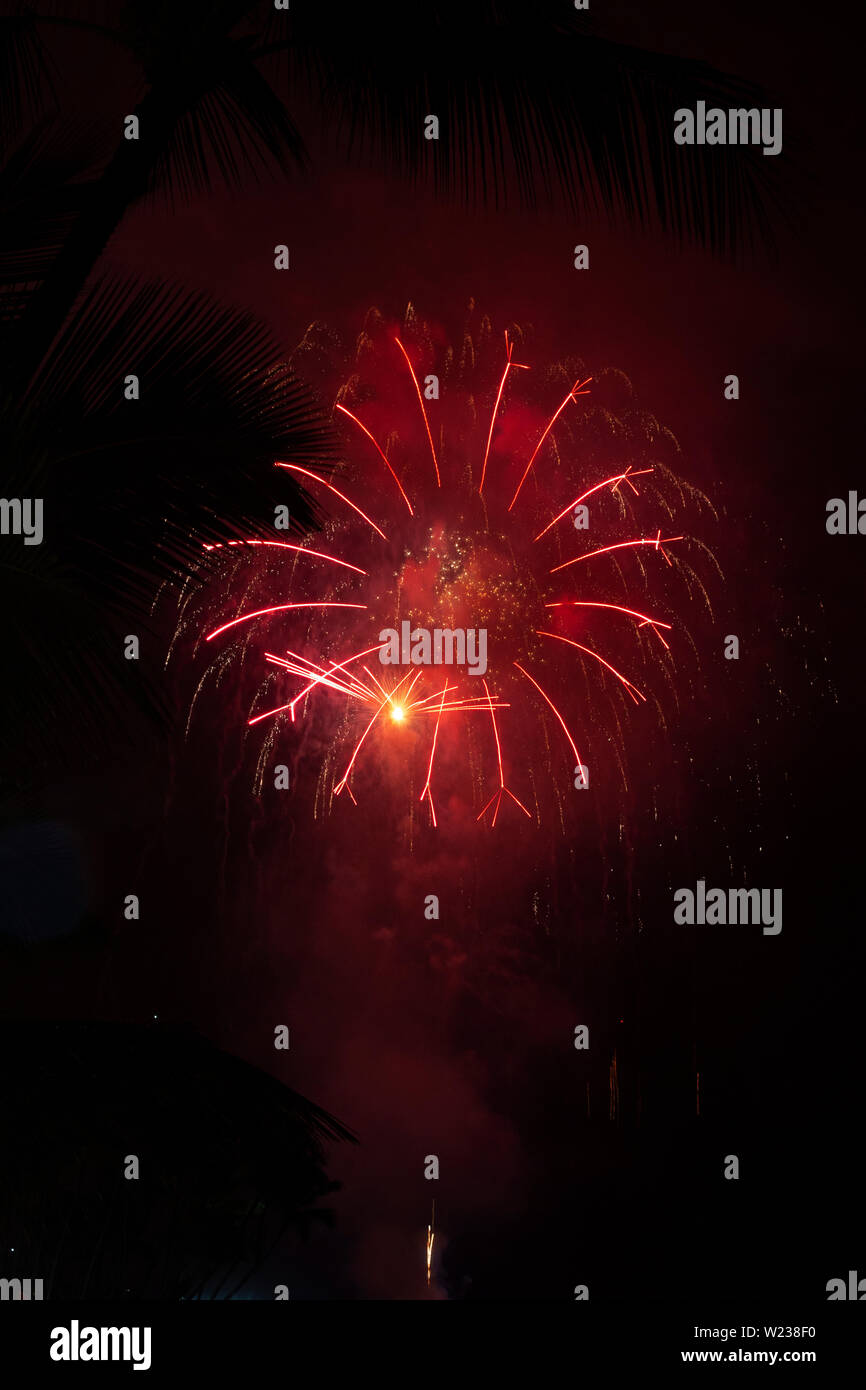 Fourth of July Fireworks Display over the ocean, with palm tree ...