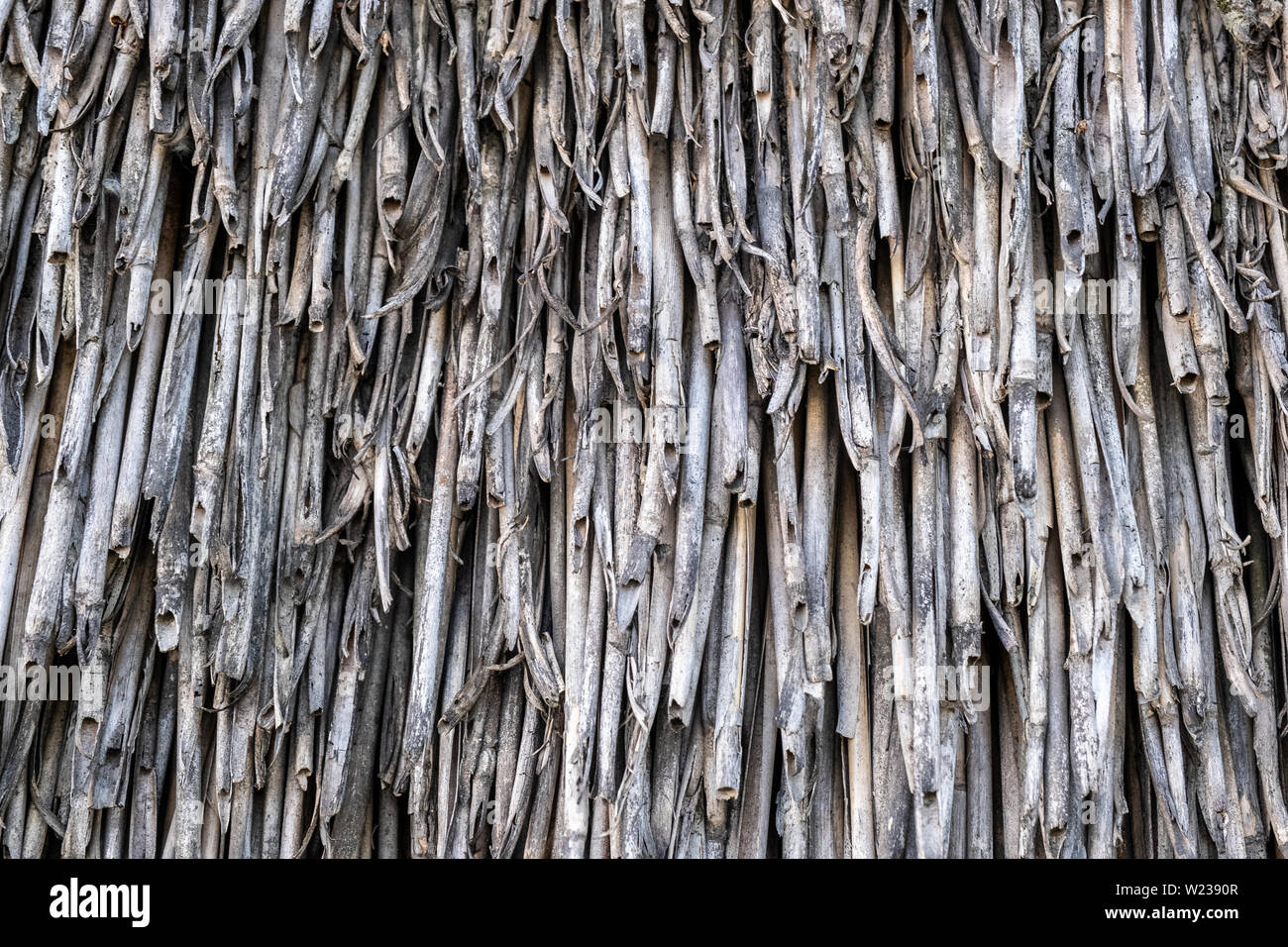 old roof with reed coating, top view. dry reed Stock Photo - Alamy
