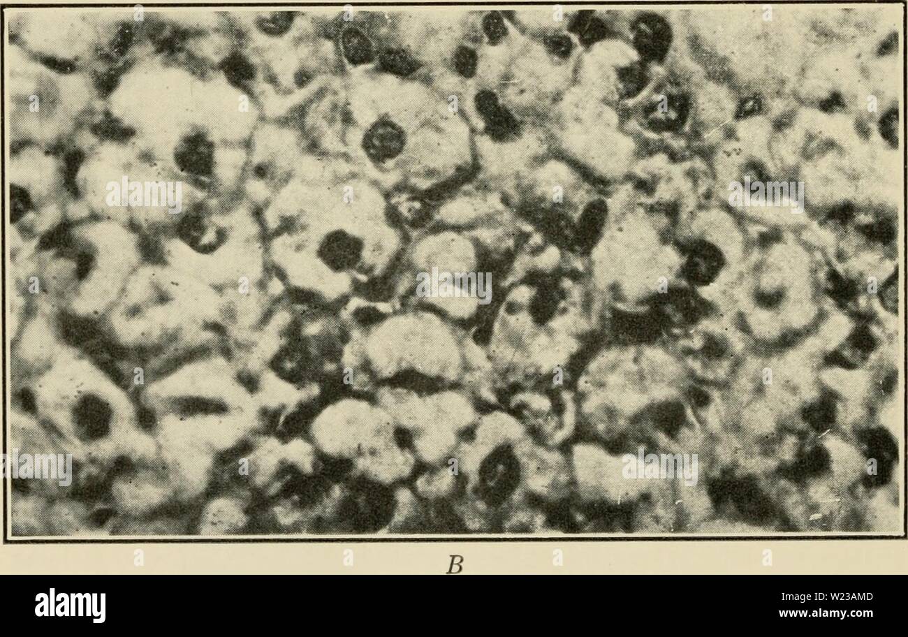 Cytochemistry hi-res stock photography and images - Alamy