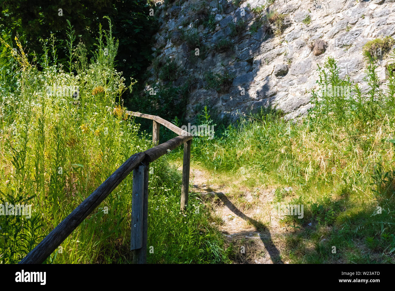 Forest track going up with the wooden railing, trekking path - Image ...