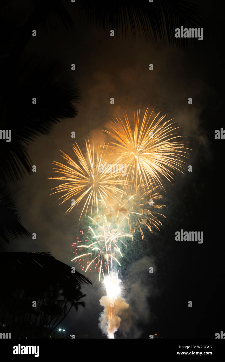 Fourth of July Fireworks Display over the ocean, with palm tree ...