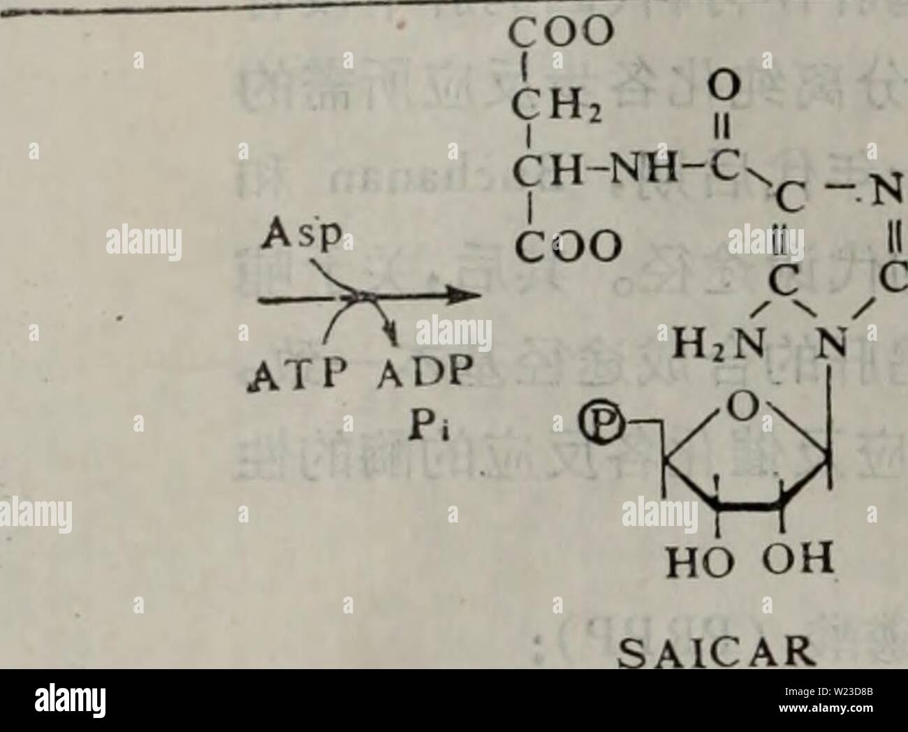 Tang xie hi-res stock photography and images - Alamy