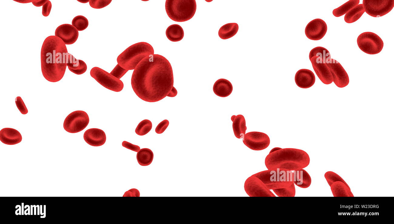 Red Blood Cells Flowing Through Circulatory System Stock Photo - Alamy