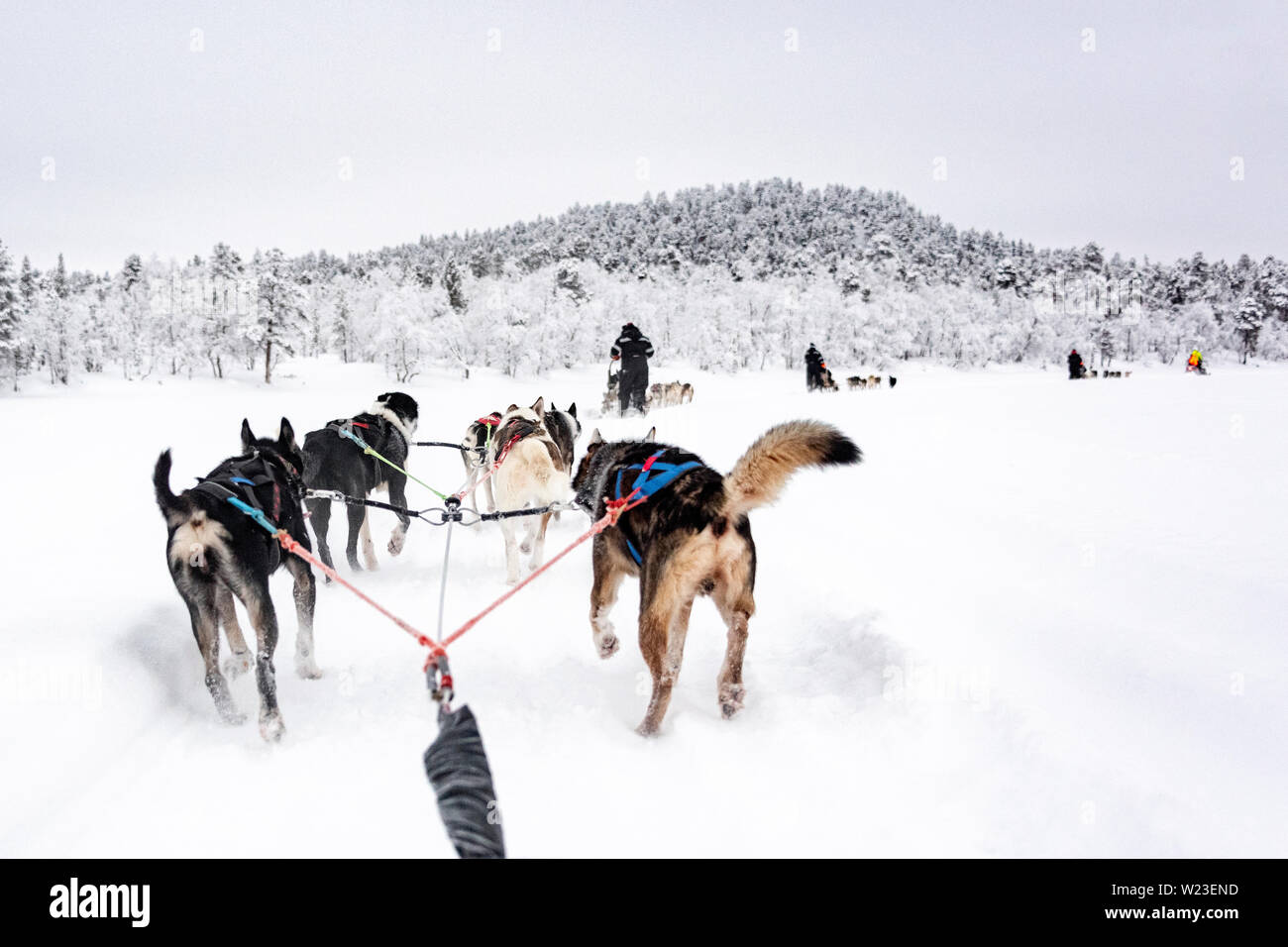 Huskies sleigh snow pulling alaska hi-res stock photography and images ...
