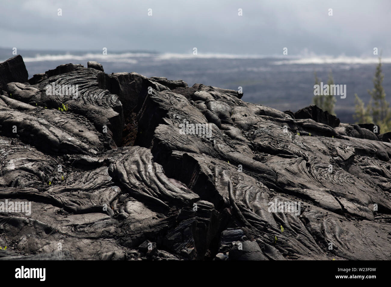 Field of pahoehoe lava rock on Kilauea volcano, Big Island, Hawaii ...
