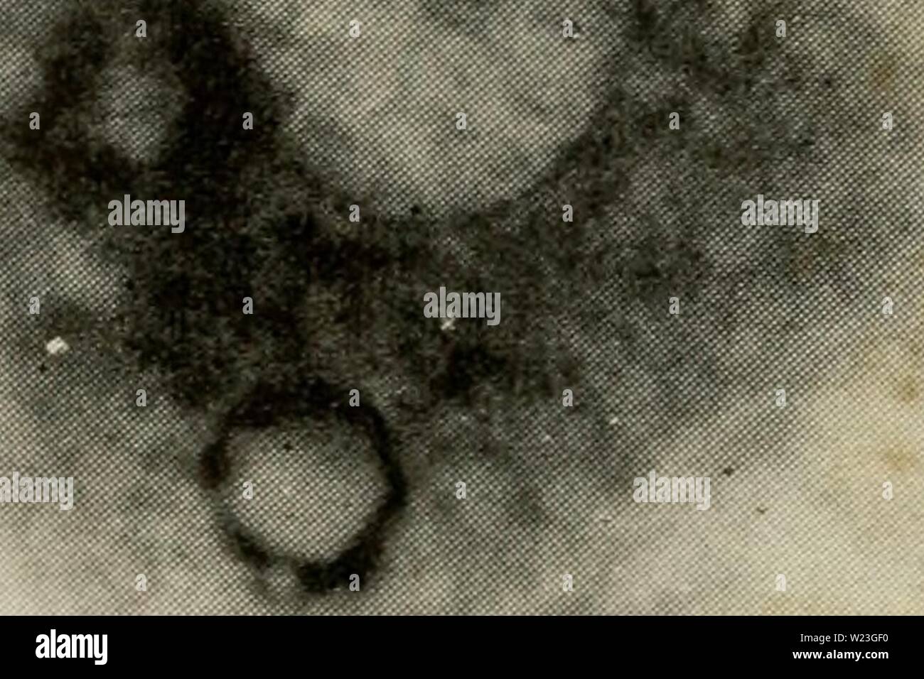 Cytochemistry hi-res stock photography and images - Alamy