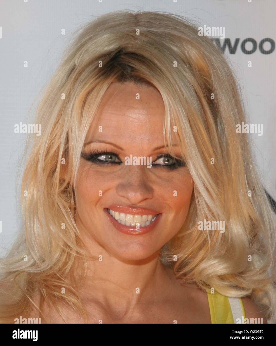 Pam Anderson 2008 Photo By JR Davis/PHOTOlink.net Stock Photo - Alamy