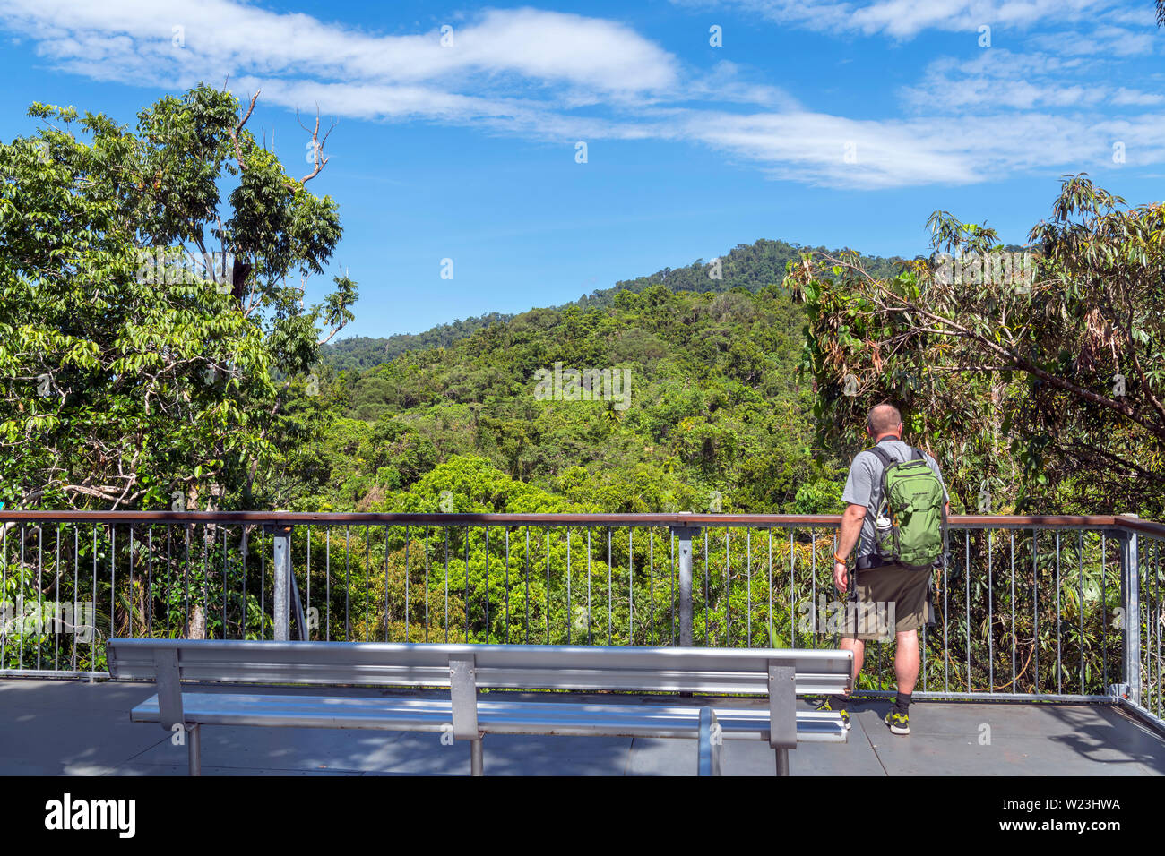 Visitor looking at view from top platform of the Canopy Tower ...