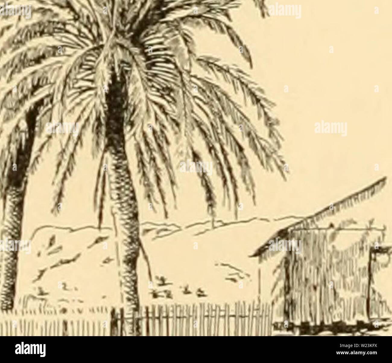 1900 munich history historical hi-res stock photography and images - Alamy