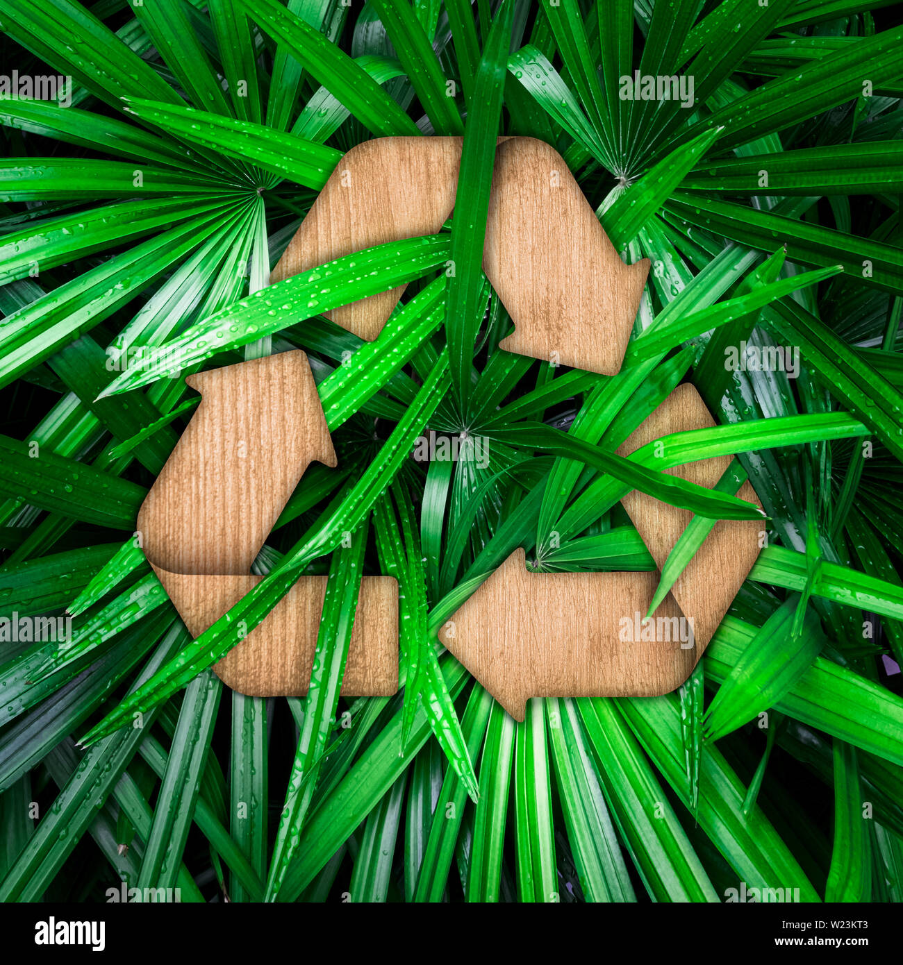 Wood texture recycle sign on green tropical leaves . Ecology concept ...