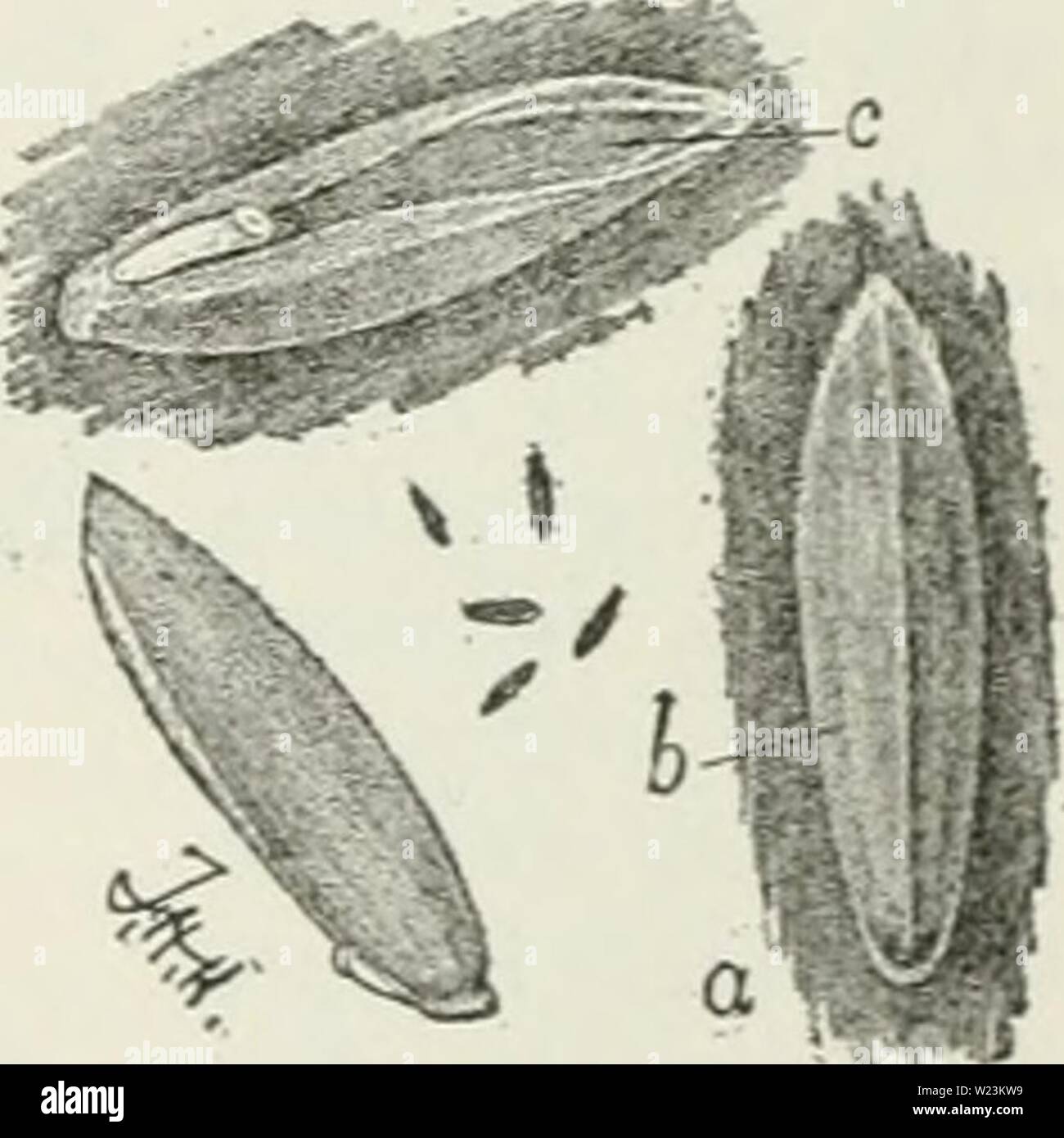 Angled edges hi-res stock photography and images - Alamy