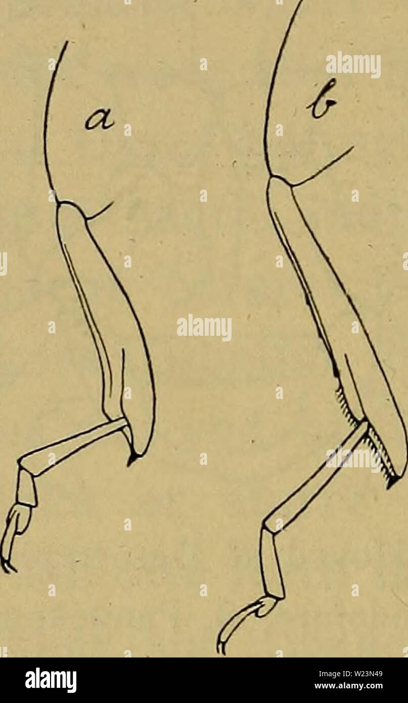 Dansk ps hi-res stock photography and images - Alamy