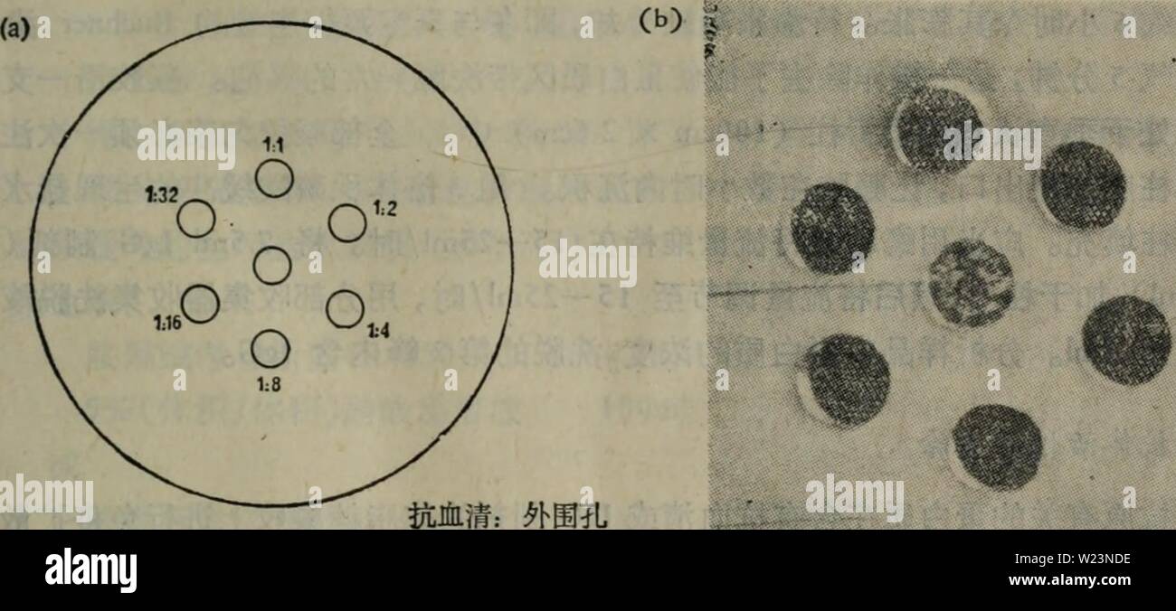 Chu jian bai hi-res stock photography and images - Alamy