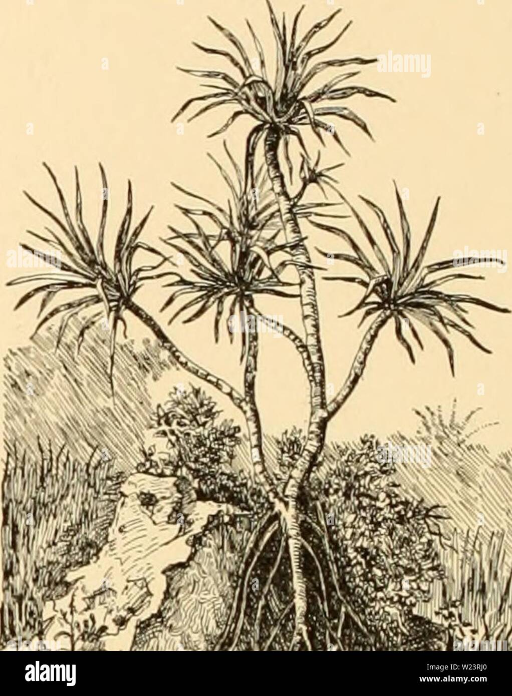 Inference hi-res stock photography and images - Alamy