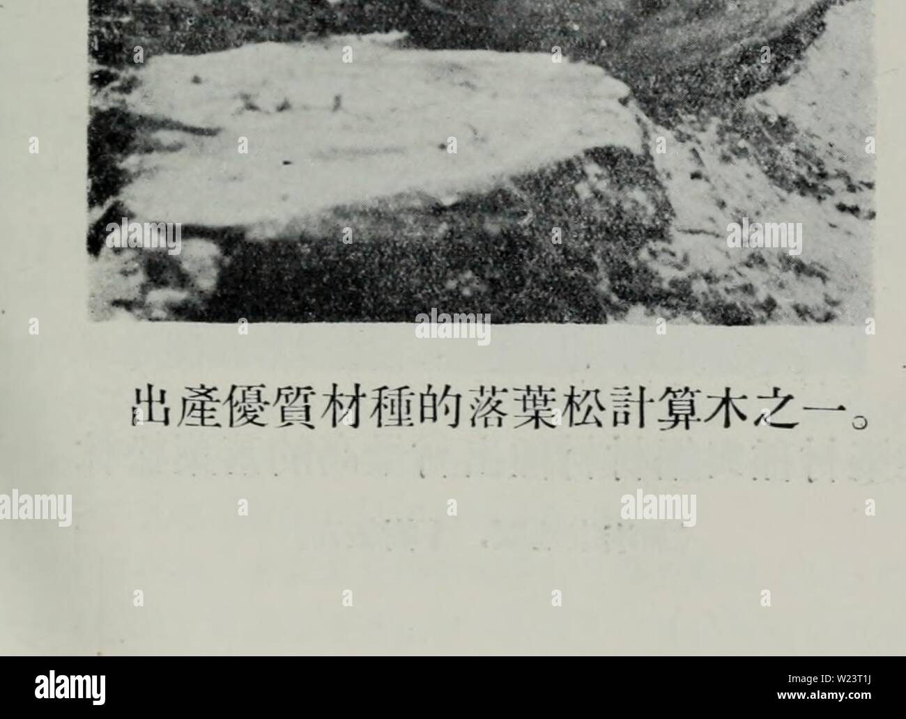 Cha bu hi-res stock photography and images - Alamy