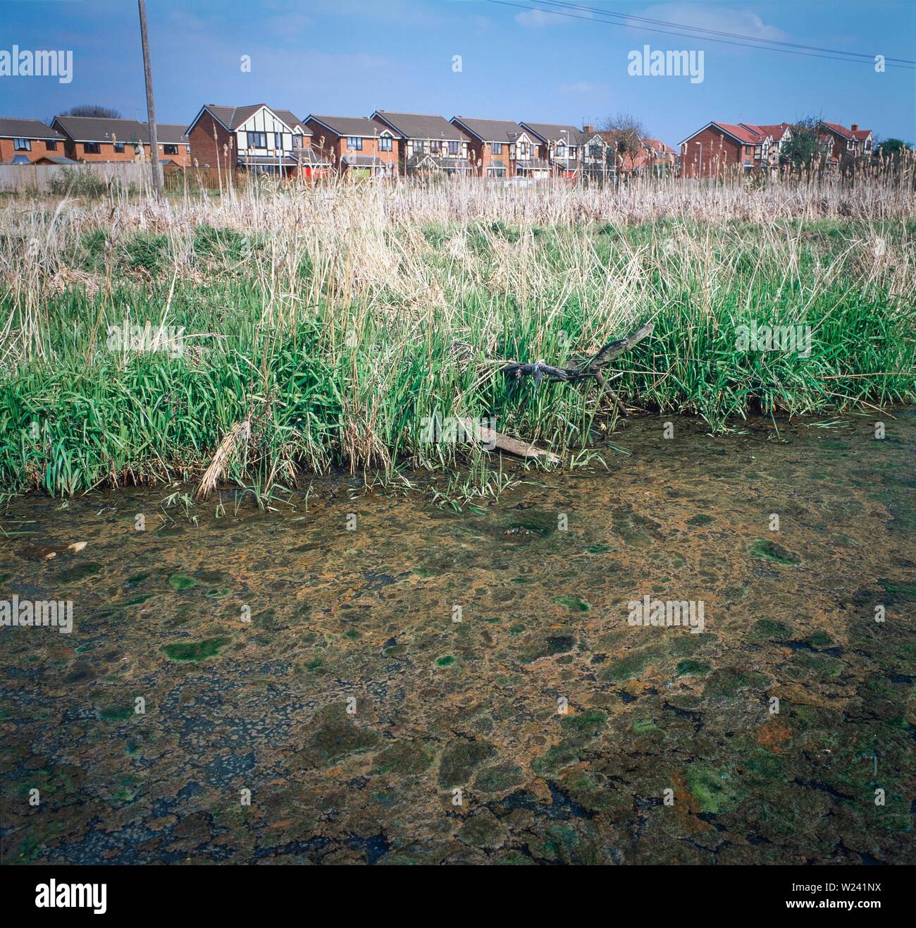 Leachate hi-res stock photography and images - Alamy