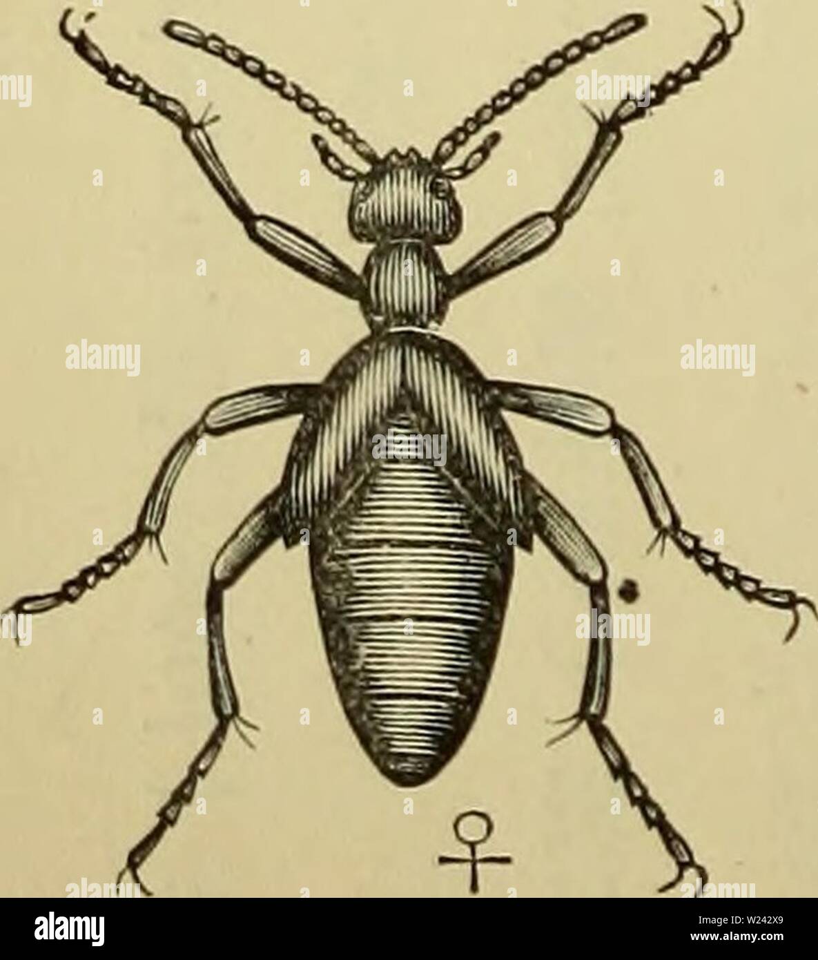 Page 03a hi-res stock photography and images - Alamy