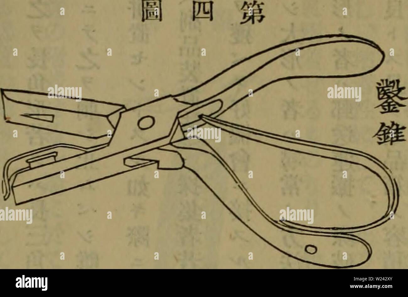 Archive image from page 199 of Dbutsugaku zasshi (1889 Stock Photo - Alamy