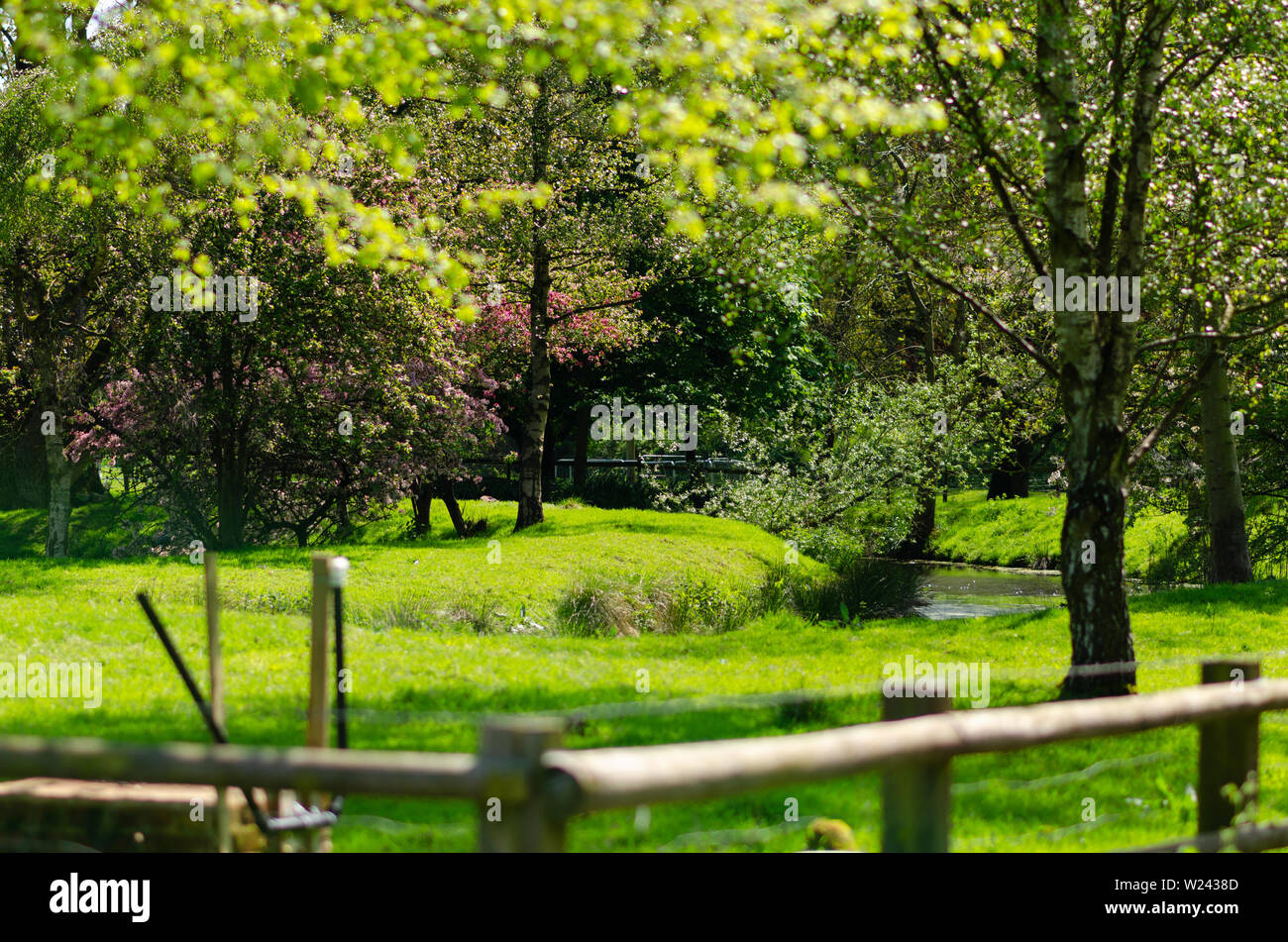 Britan summer park hi-res stock photography and images - Alamy