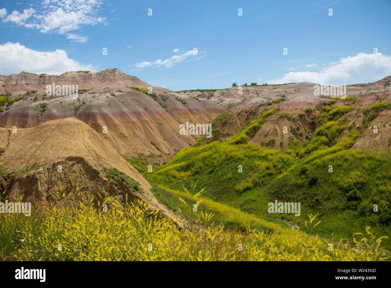 Layered nature hi-res stock photography and images - Alamy