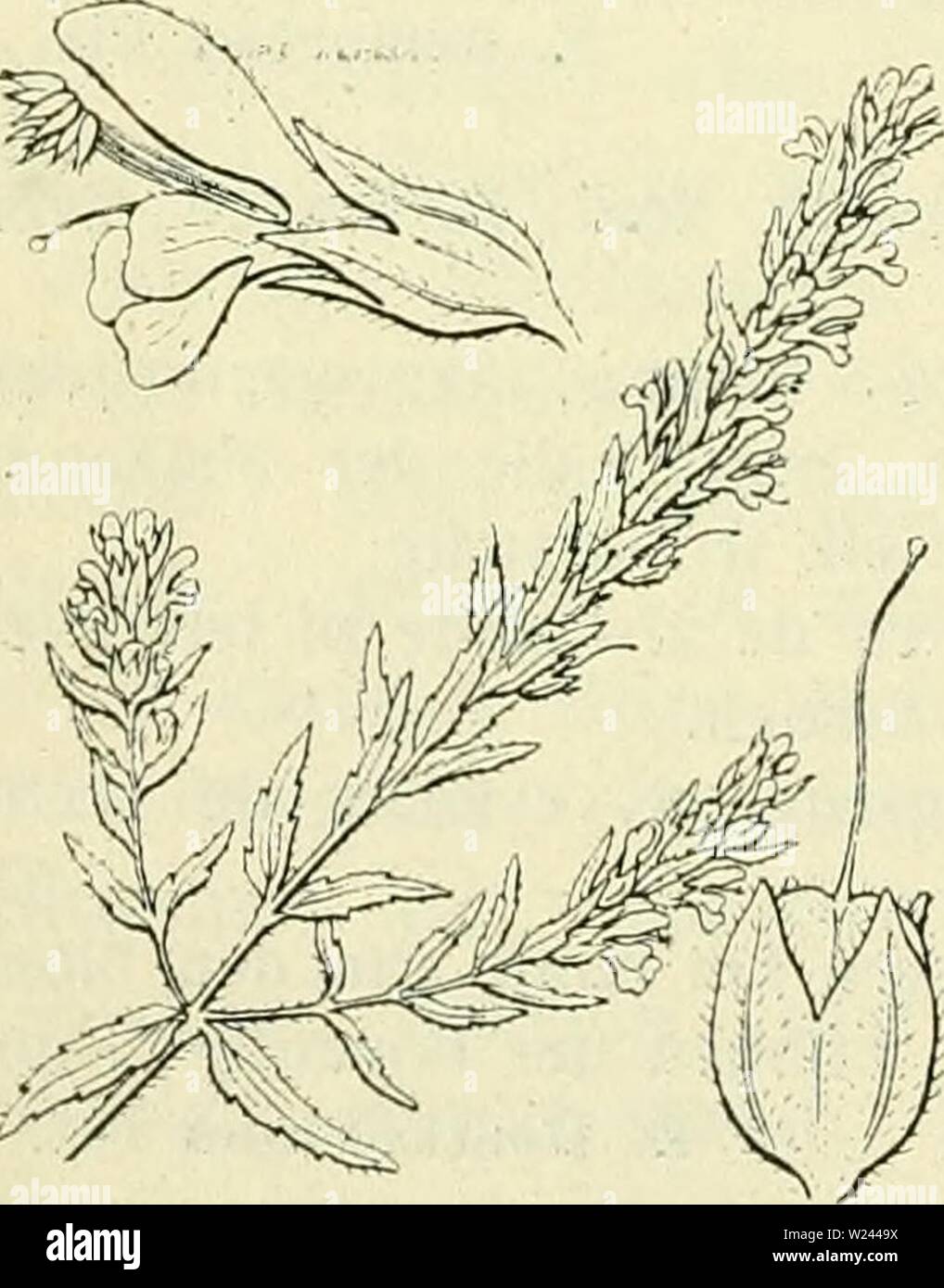 Dan stamper hi-res stock photography and images - Alamy