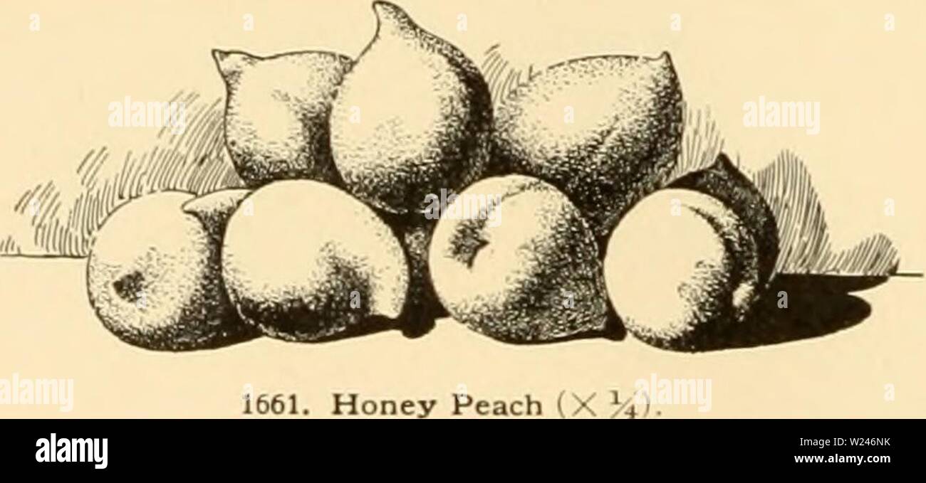 H peen hi-res stock photography and images - Alamy