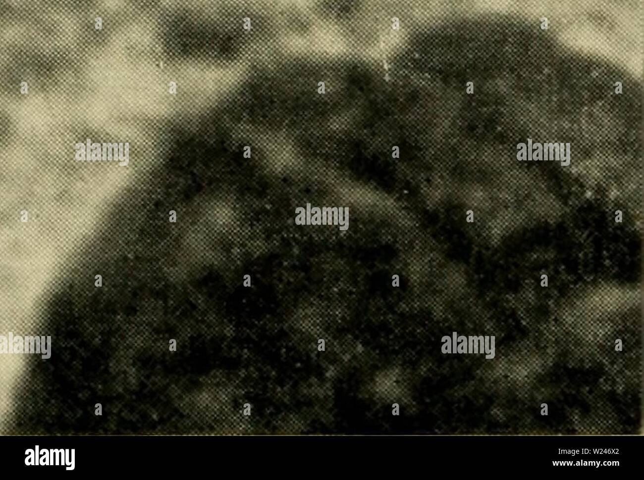 Dreamer fish hi-res stock photography and images - Alamy