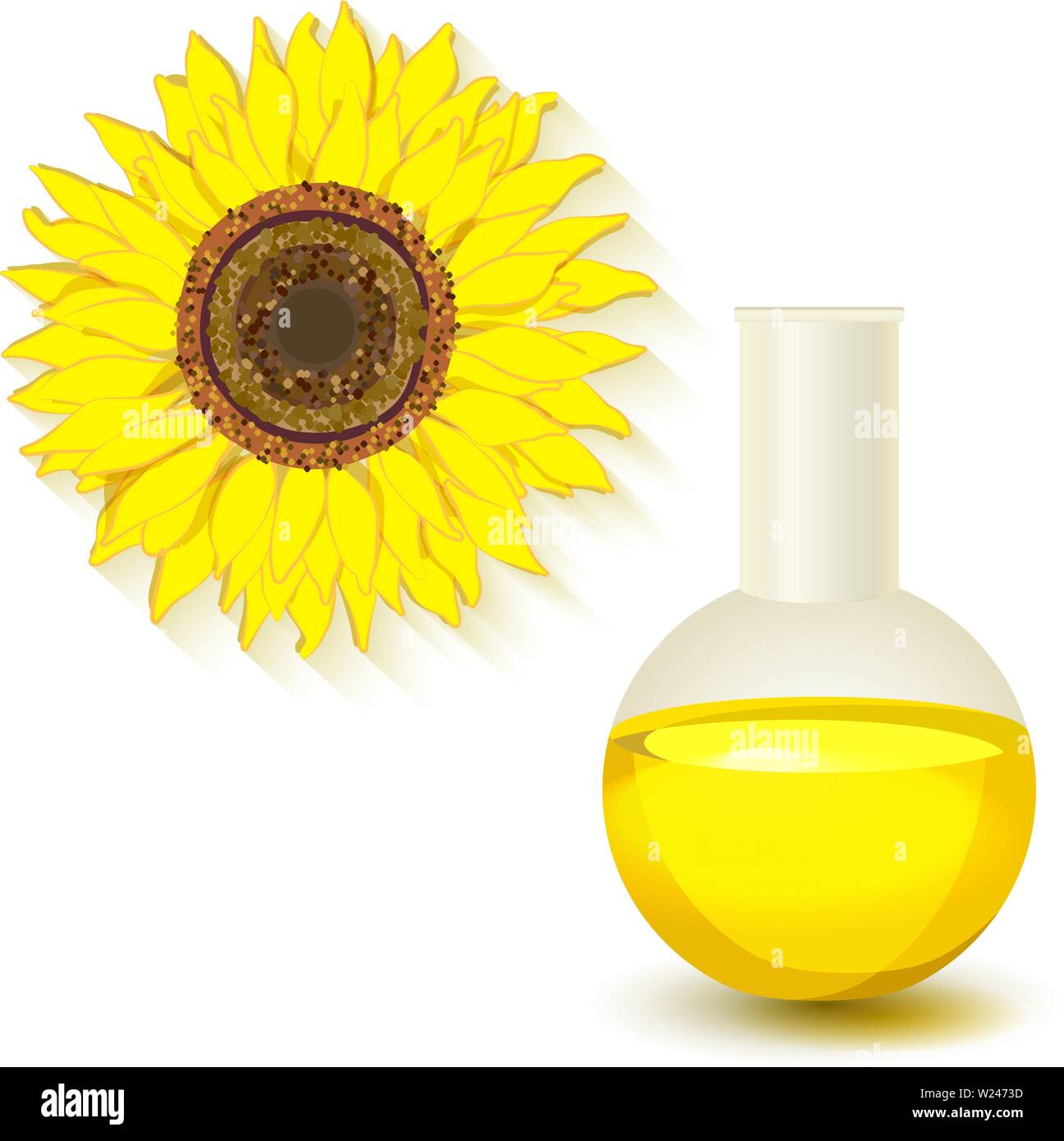 Glass flask with yellow liquid and sunflower on a white background ...